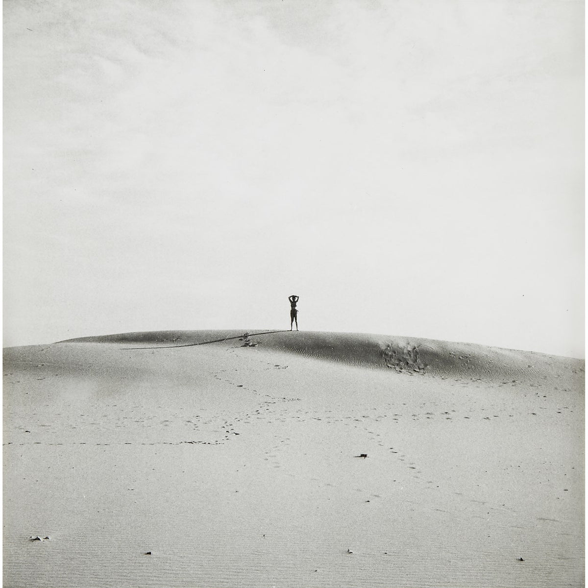 Harry Callahan | Portfolio – 1605 Collective