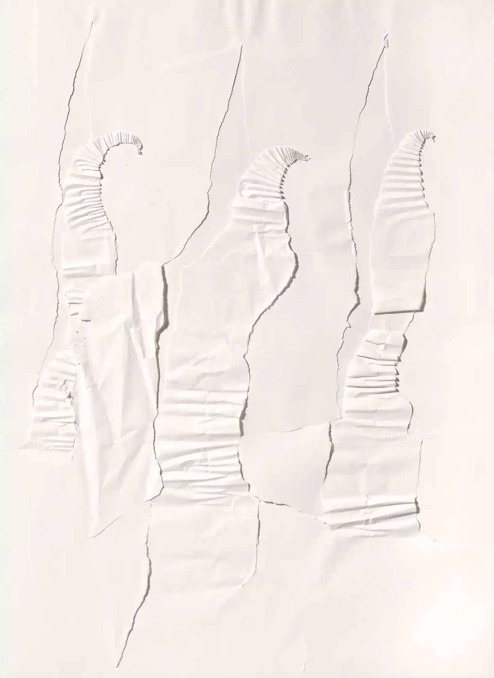 Oskar Holweck | Portfolio – 1605 Collective
